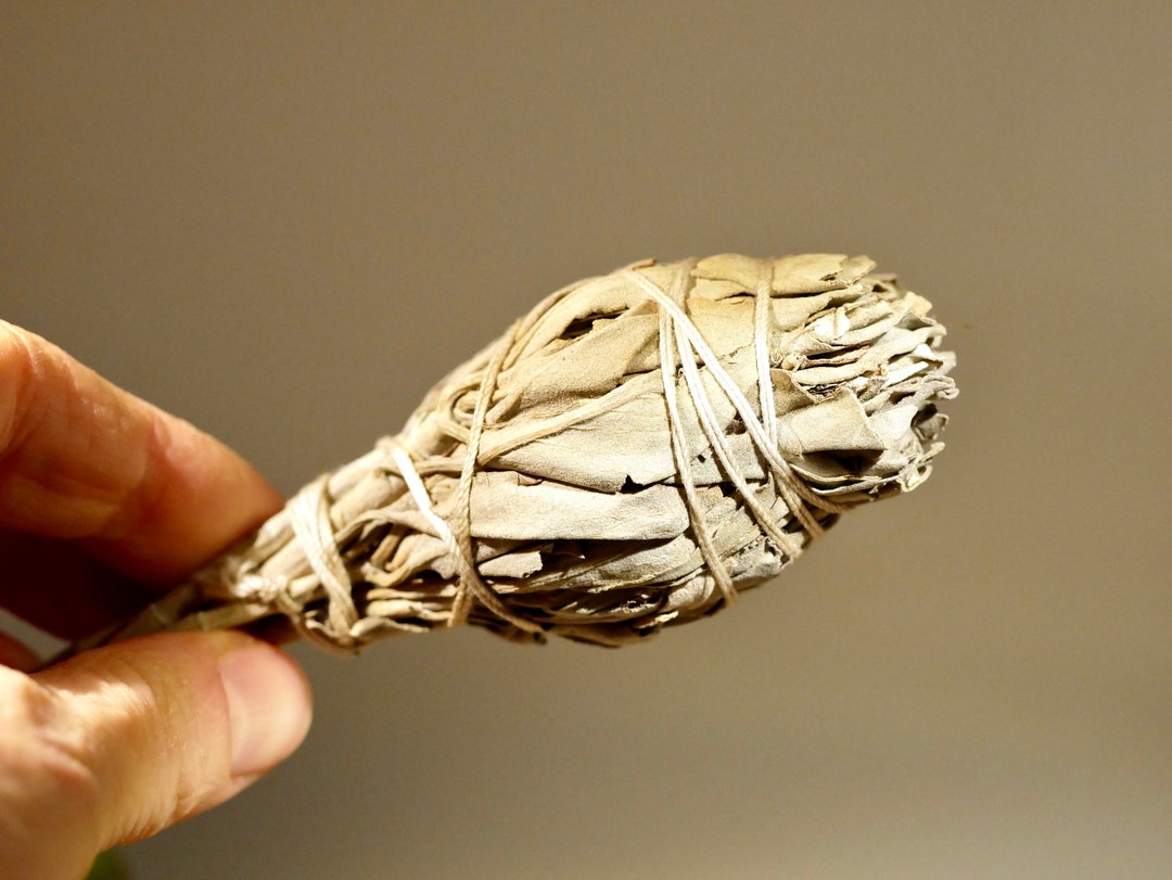 White Sage Bundle 4 Inch White Sage Smudge Sticks, Sustainable White Sage Torch Negative Energy ...