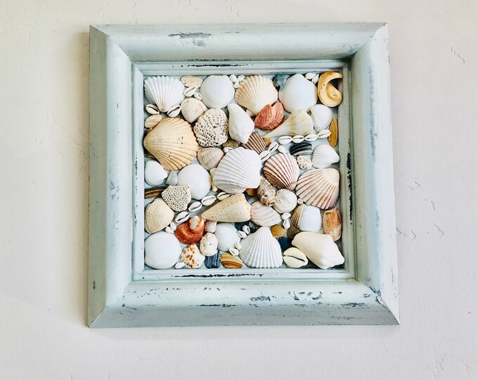 Seashell Art. - Etsy