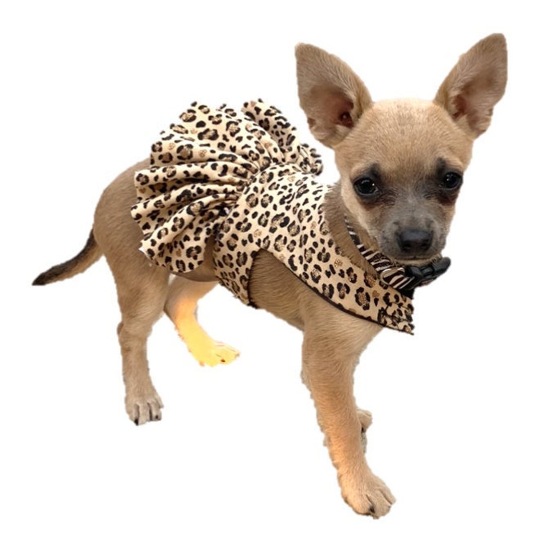 Cheetah Dress for Pets Dog Cheetah Dress Dog Apparel Pet Apparel Dog ...
