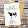 Poutine Birthday Card for Canadian, Funny Food Greeting Card for ...