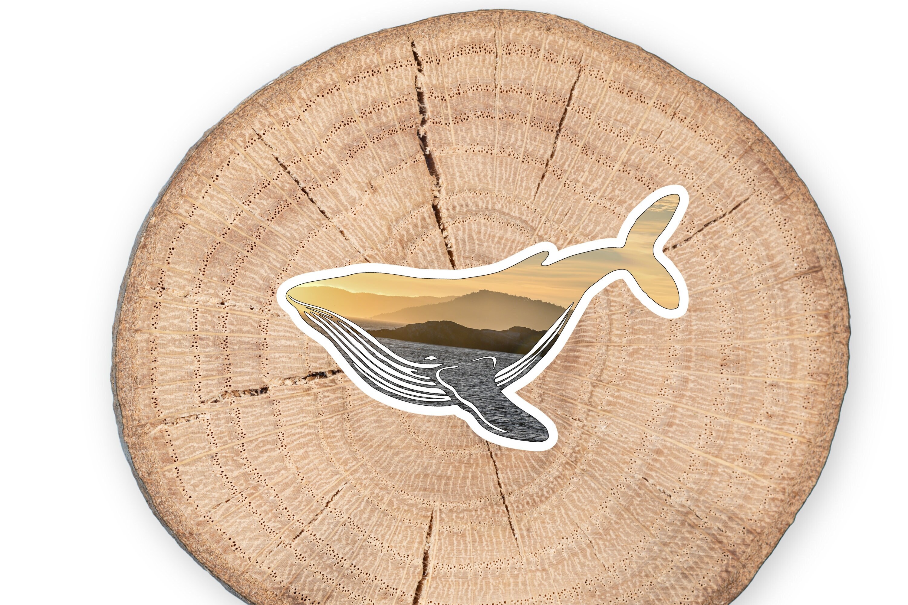Humpback Whale Sticker: Pacific West Coast Sunset Vinyl Decal - Etsy