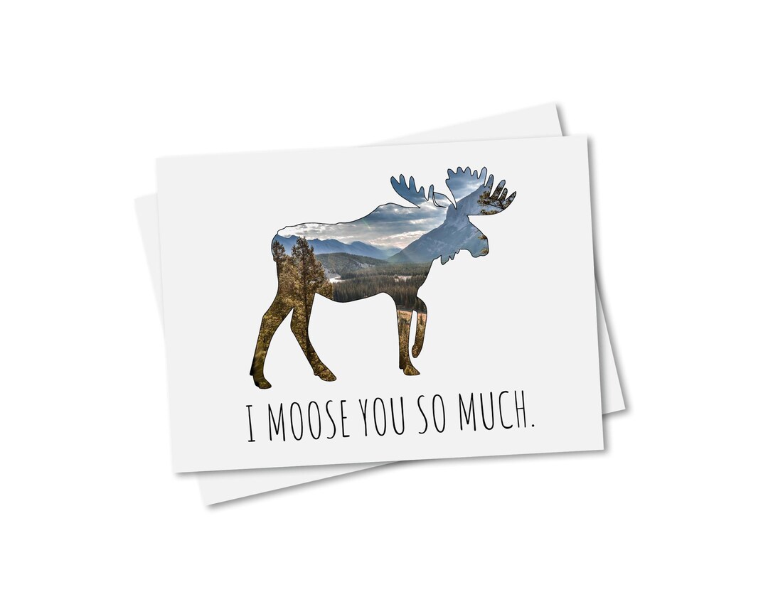 Moose Postcard Set: Banff National Park, Nature Art - Recycled Paper - Etsy