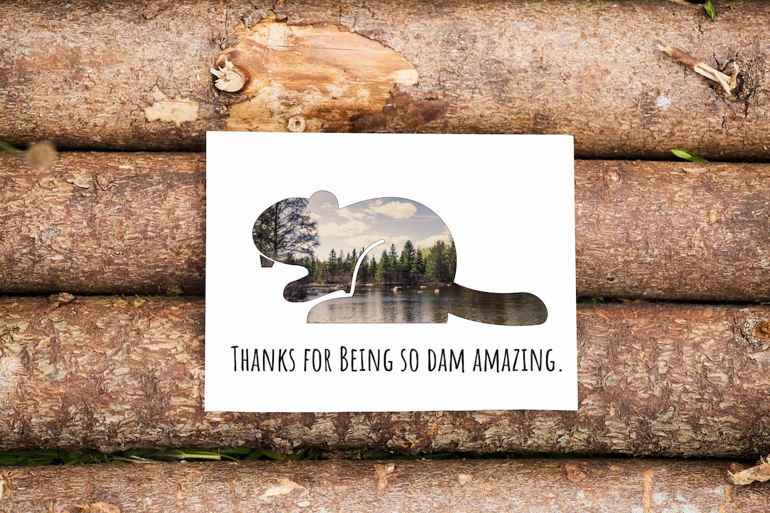 Beaver Greeting Card to Say Thank You, Gratitude Card to Show ...
