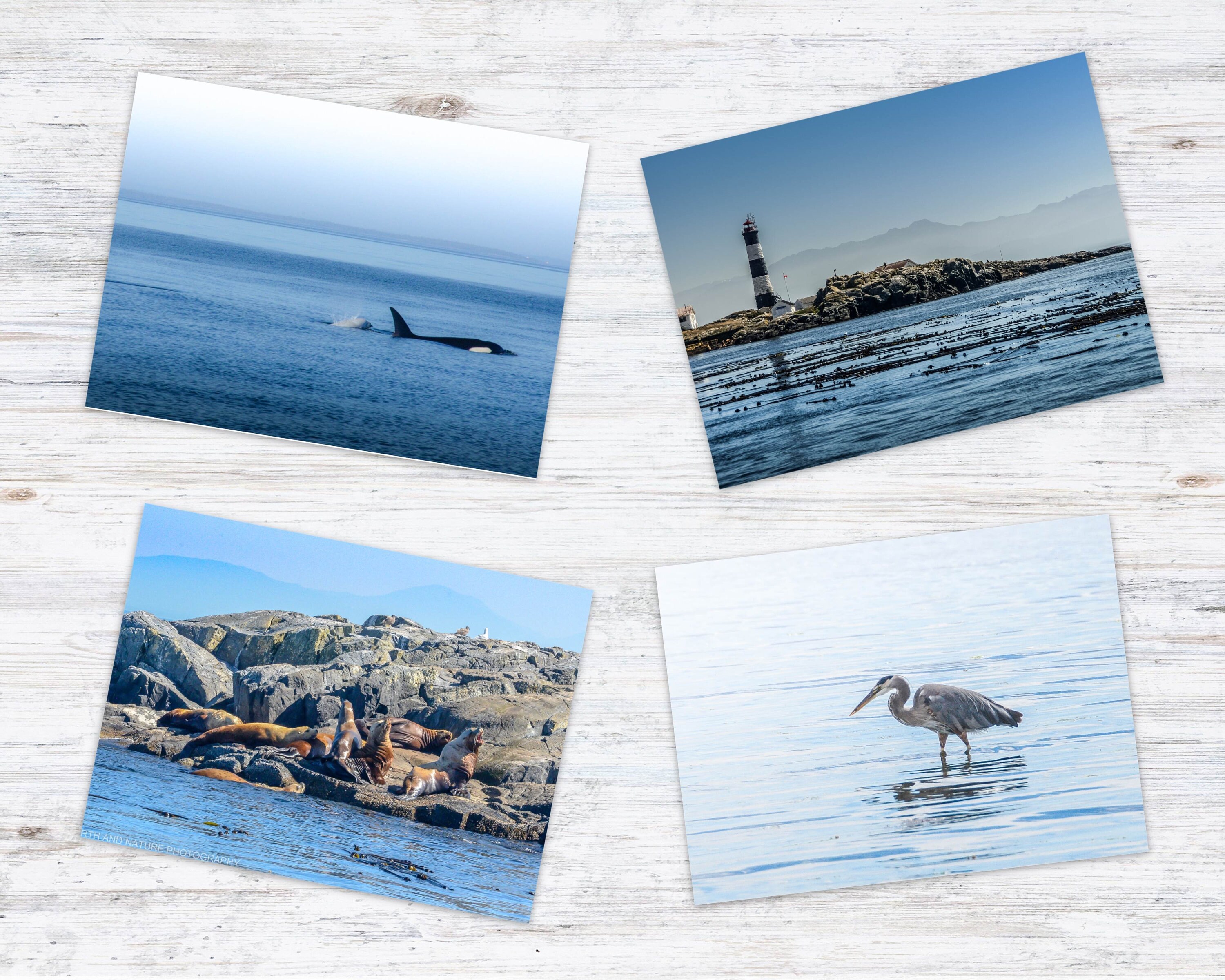 Ocean Postcard Set Nautical Postcard Set Seascape | Etsy