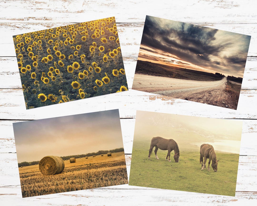 Set of 4 Prairie Landscape Postcards, Horse Postcards, Country Postcard ...