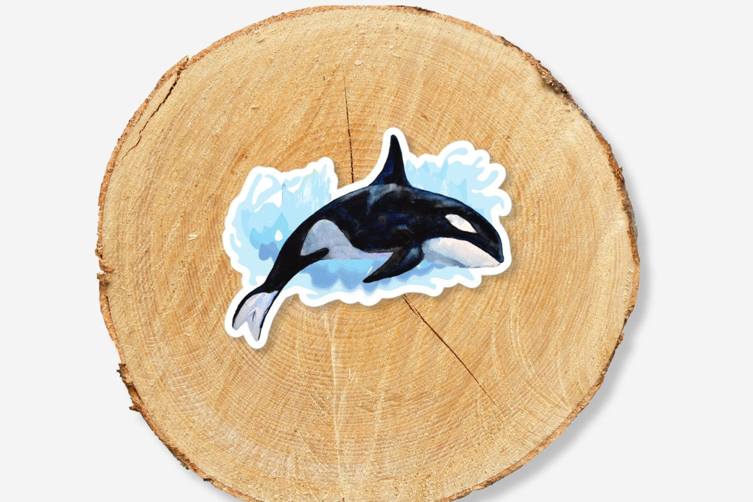 Killer Whale Sticker Orca Sticker Durable Vinyl Decal Marine Creature ...