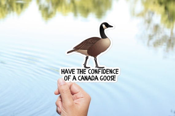 Funny Confidence Pictures