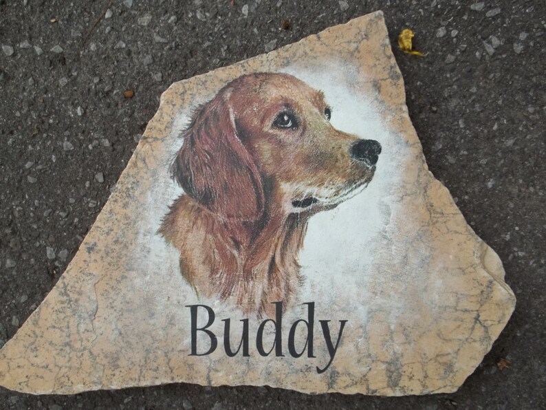 Hand Painted Dog Portrait Photo Art With Dog's Name on Stone - Etsy