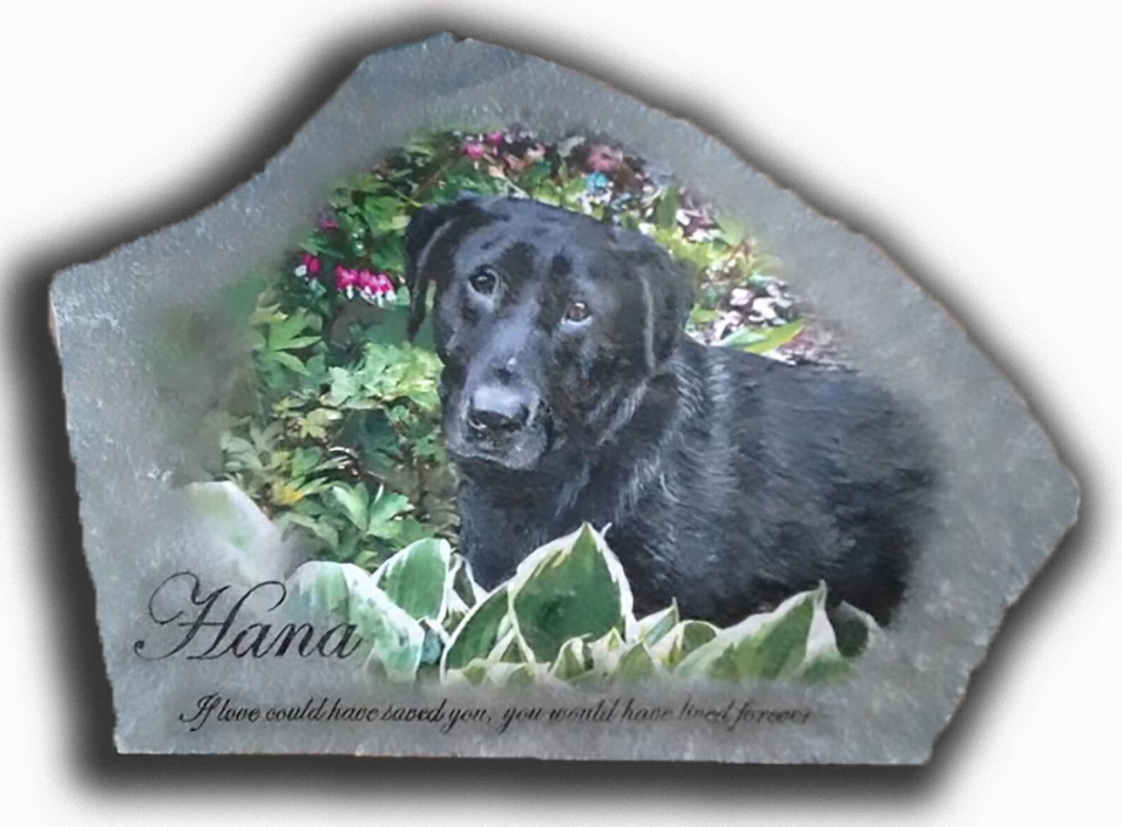 Hand Painted Photo Art/ Pet Memorial/ Dog Portrait/ With 2 Options Like ...