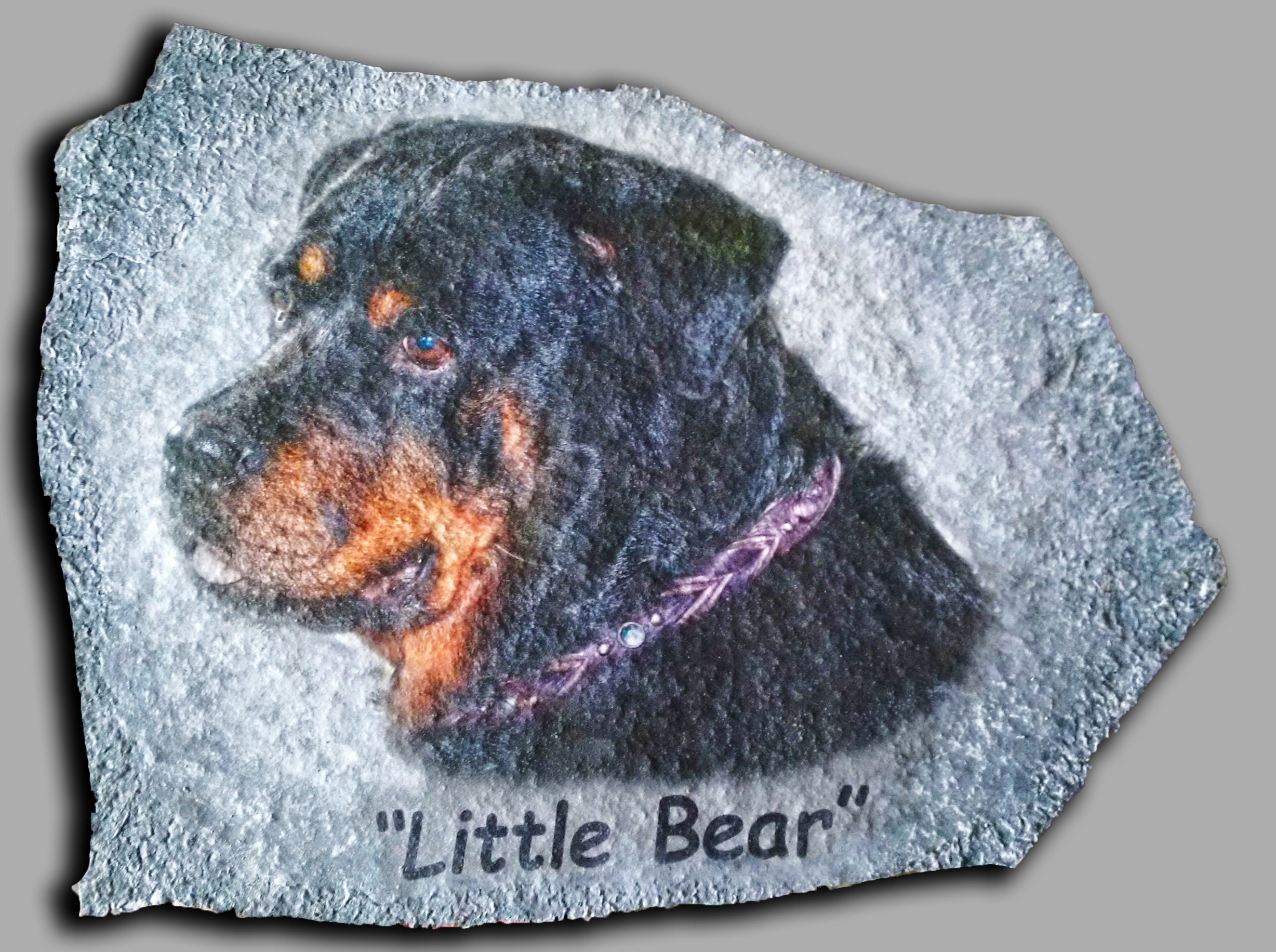 Hand Painted Stone/ Dog Portrait/ Photo art/ Dog's | Etsy