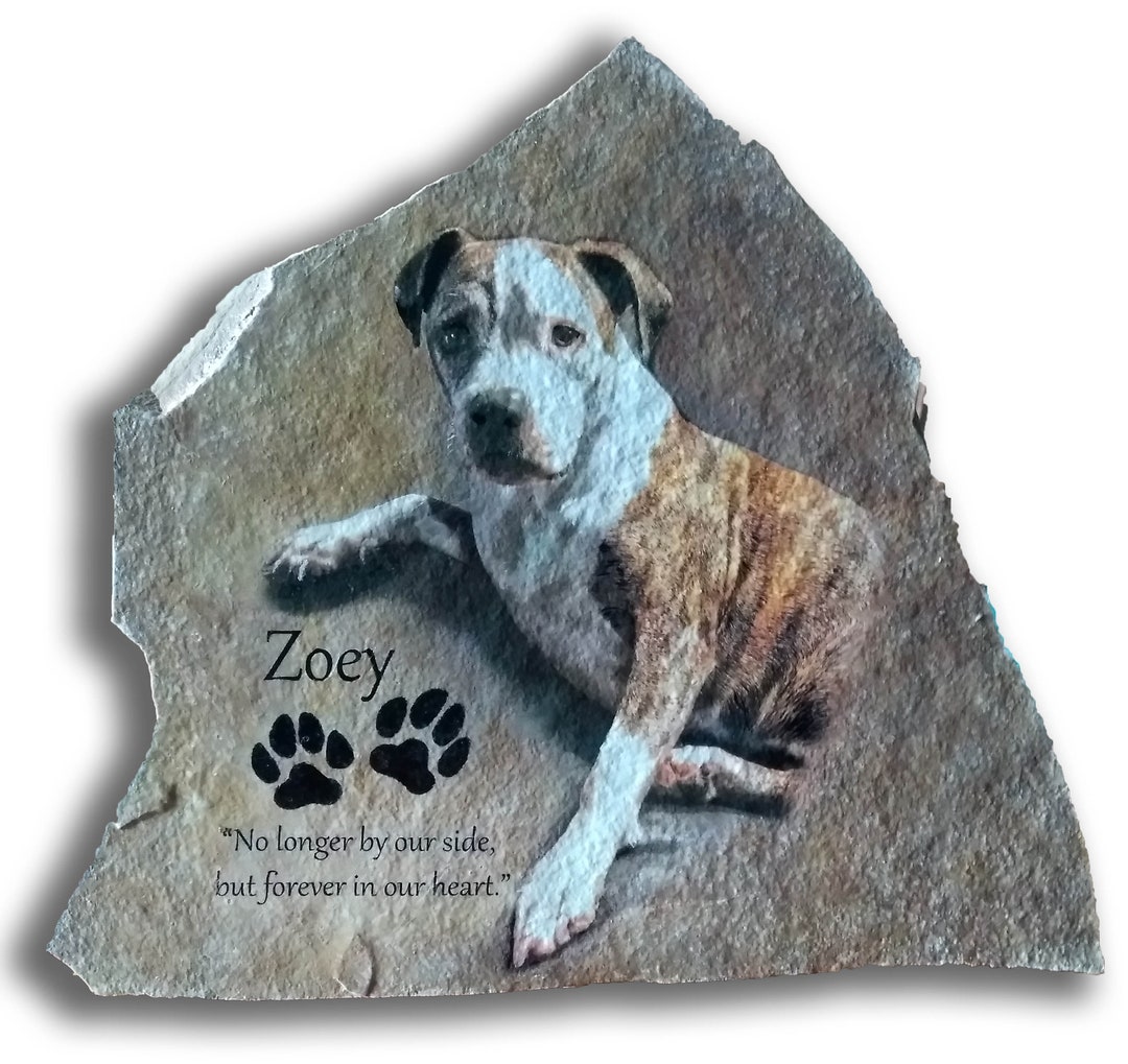 Hand Painted Pet Memorial / Photo Art /dog Portrait/ With 3 Options ...