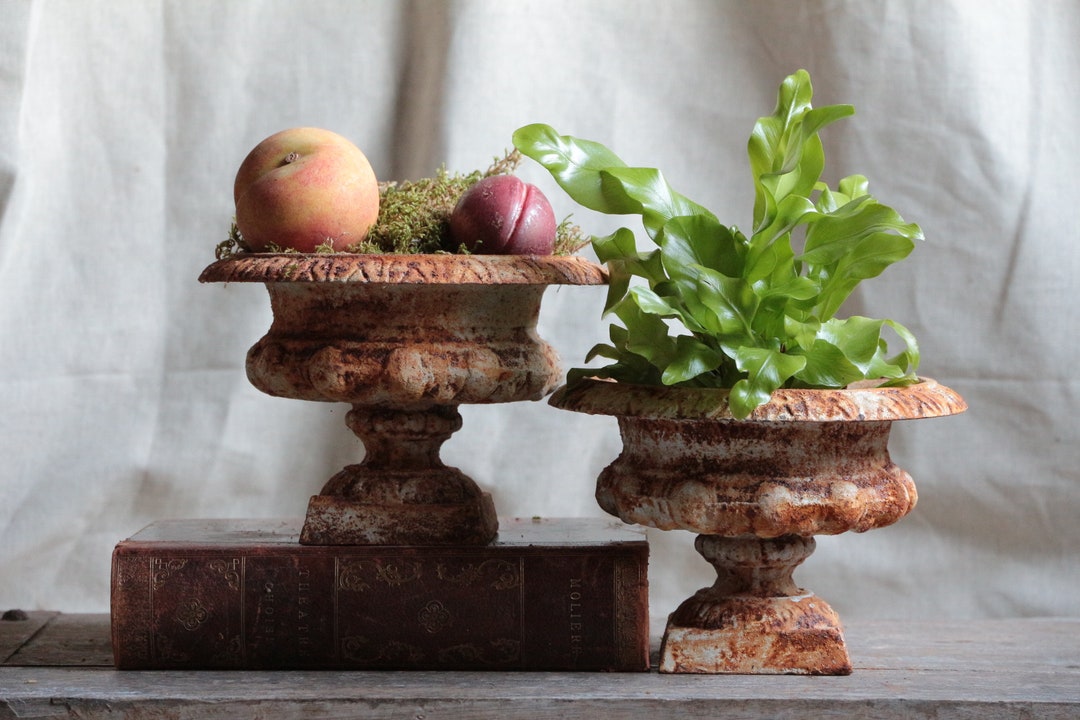 Set of 2 Small Vintage Rusty Cast Iron Medici Style Planter - Etsy