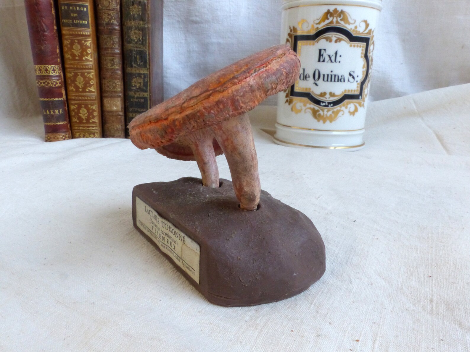 French Vintage Scientific Model Mushroom Species. French Pharmacy ...