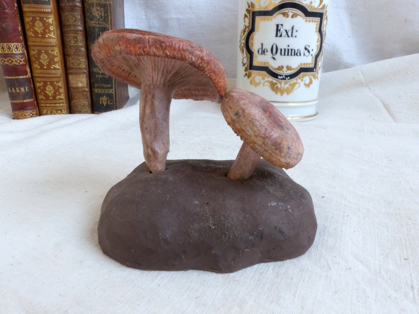 French Vintage Scientific Model Mushroom Species. French Pharmacy ...