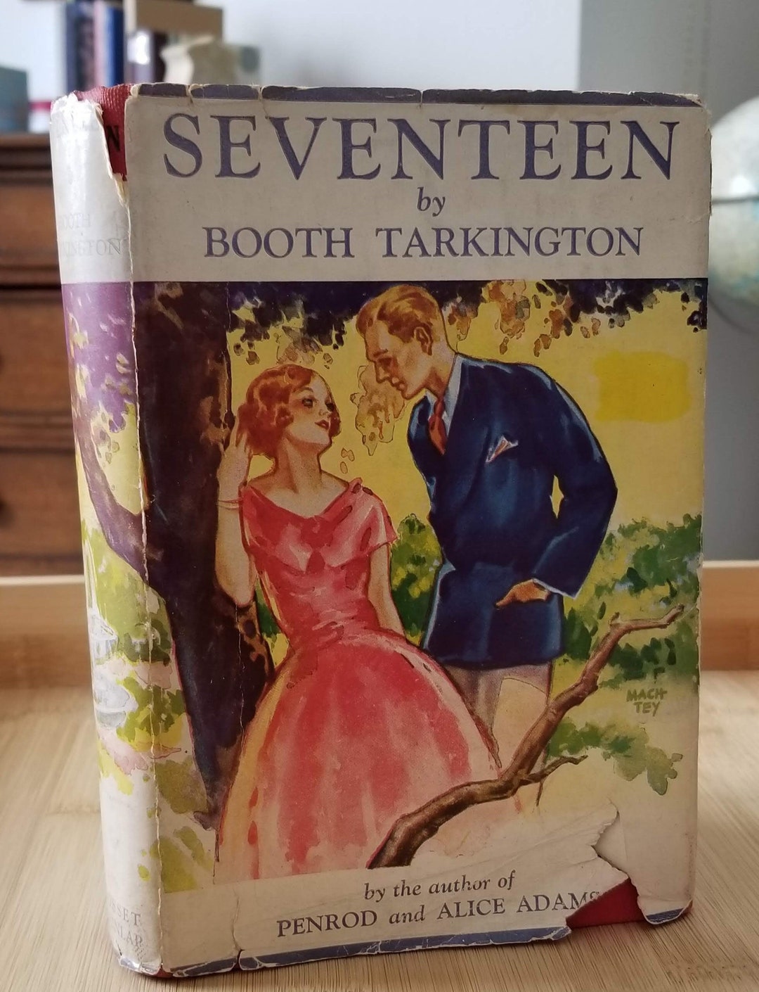 Seventeen by Booth Tarkington With Unique DJ Illustrated by Mach Tey ...