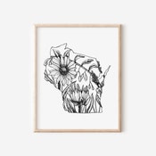 Wisconsin Native Fish Species Poster - Etsy