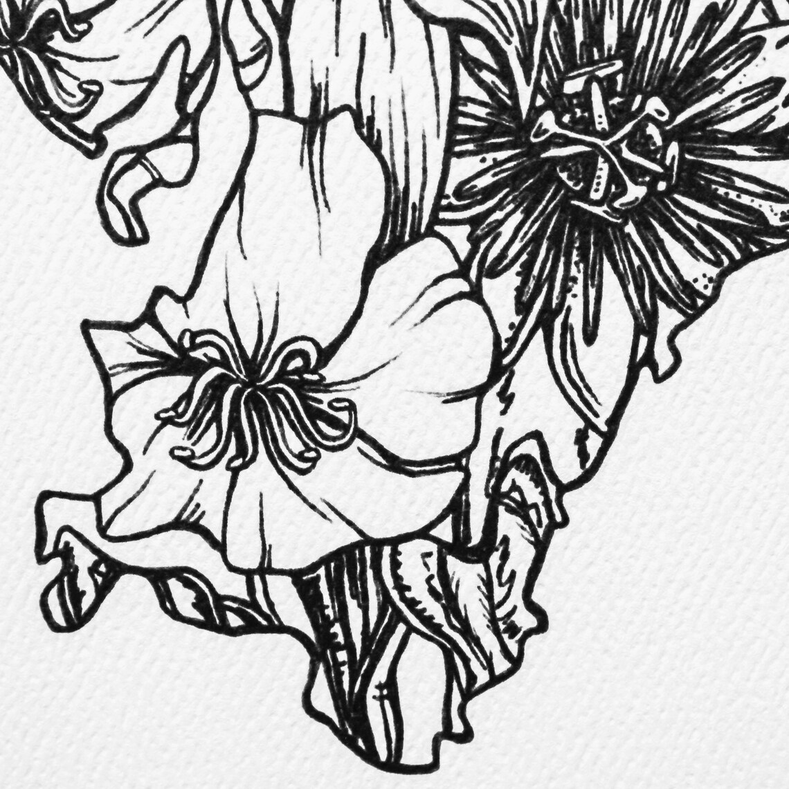 Ecuador Art Ecuador Print Ecuador Art Print Ecuador Wall - Etsy