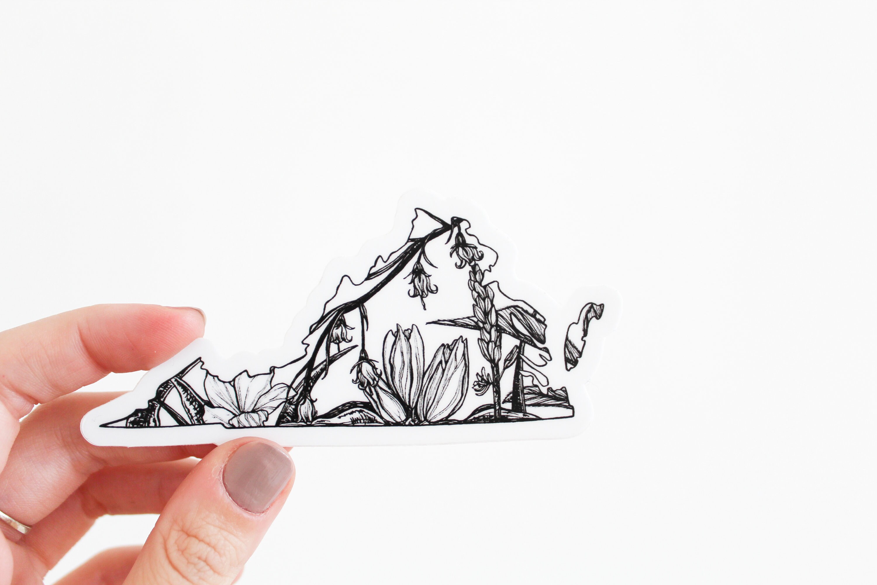 Virginia Sticker State Sticker | Etsy