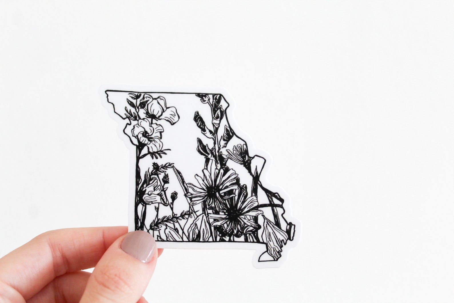 Missouri Sticker State Sticker - Etsy