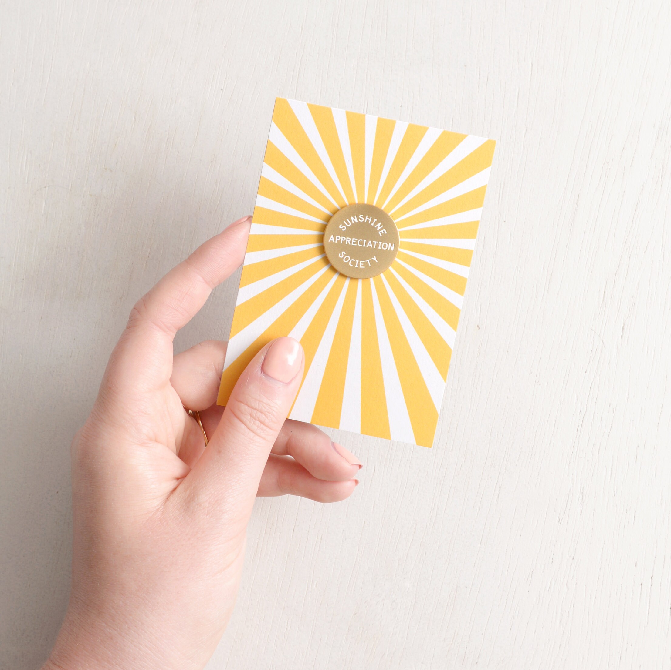 Sunshine Appreciation Society Pin Hard Enamel Pin Summer - Etsy