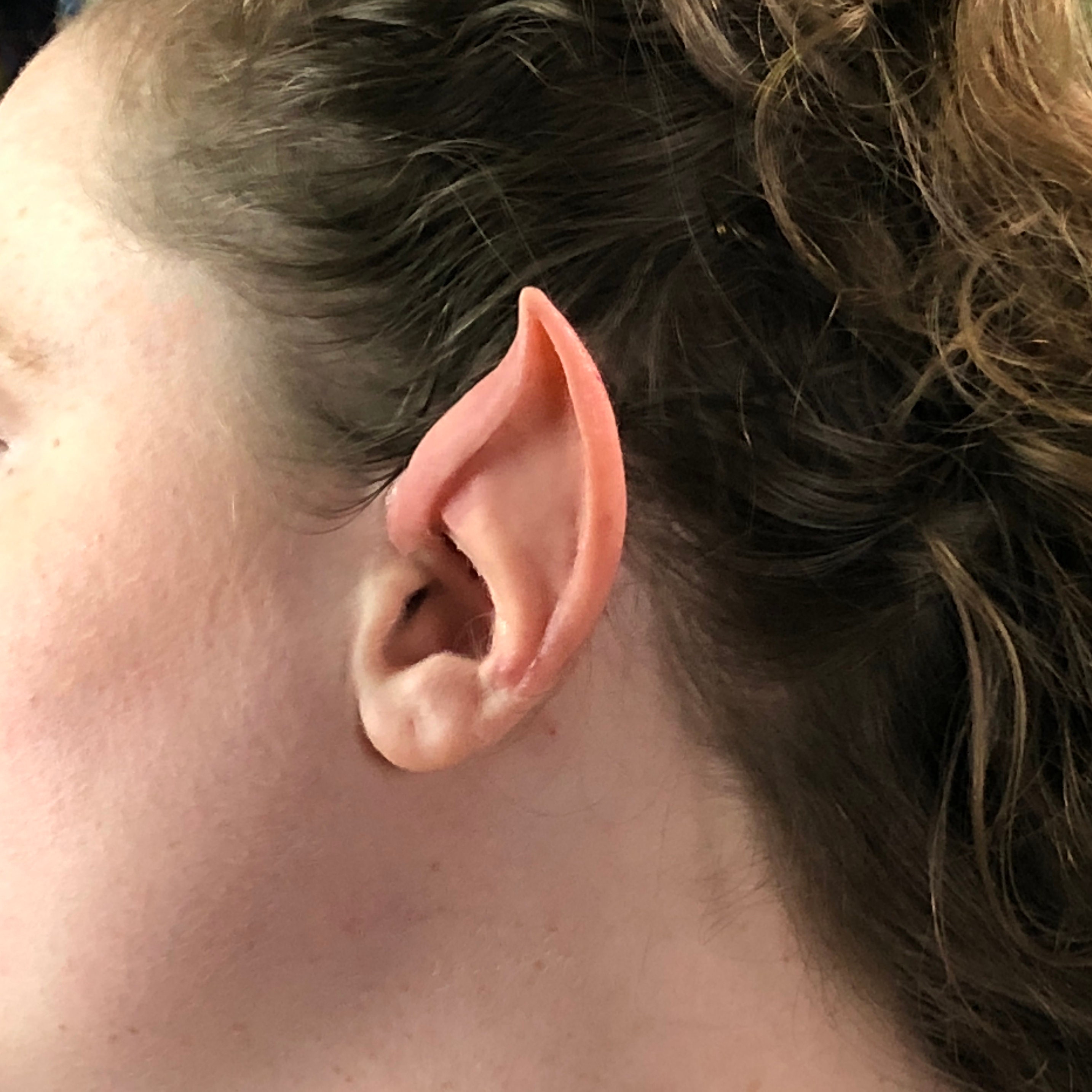 Elf Ears: Shannara Style/vulcan Ear Cast in Life-like - Etsy