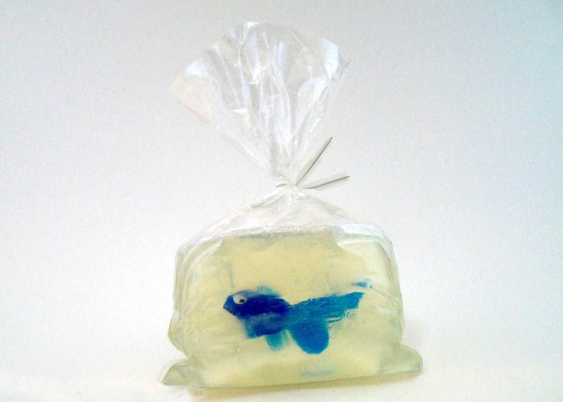 Fish in a Bag Soap Kit DIY INCLUDES SOAP & Blue Color Kids - Etsy