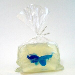 Fish in a Bag Soap Kit Embedded Soap for Kids DIY Craft Kit - Etsy
