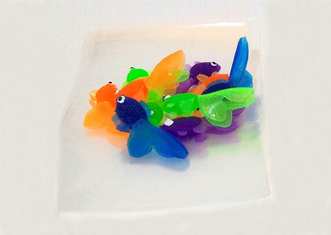 Fish in a Bag Soap Kit Embedded Soap for Kids DIY Craft Kit - Etsy