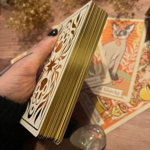 Paw of Light Tarot Deck - Etsy