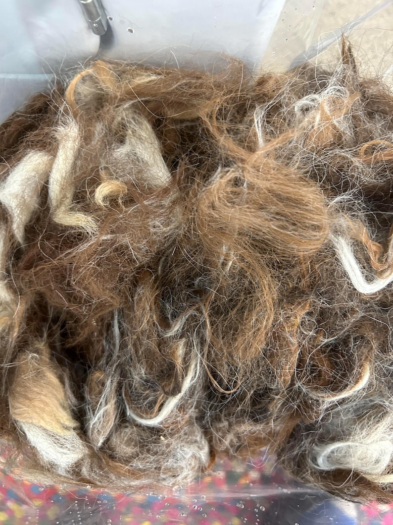 3 Lbs Raw Alpaca Fiber 2nds Mix, Skirted and Tumbled, Ready for Wash - Etsy
