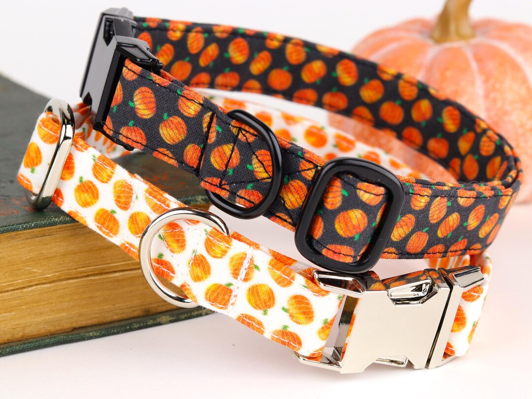 Fall Dog Collar / Pumpkins on Black or Pumpkins on White / Metal Buckle ...