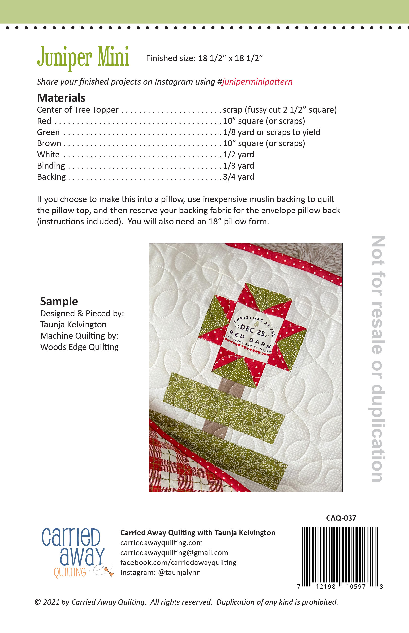 DIGITAL Pattern: Juniper Mini Quilt wall Hanging or Pillow - Etsy Canada