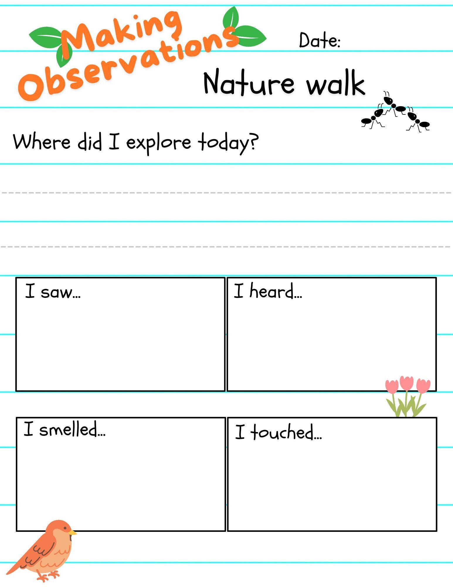 Printable Making Observations Montessori Worksheet for Interactive ...