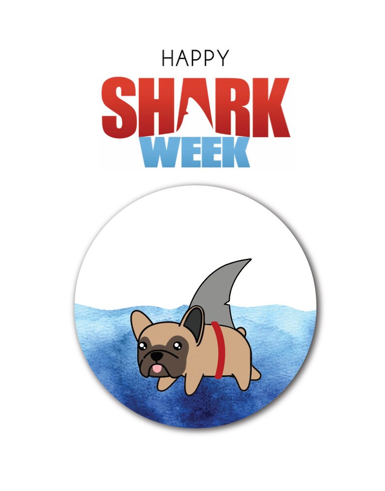 Shark Week Greeting Card | Shark Week Card | Shark Week | Shark Card ...