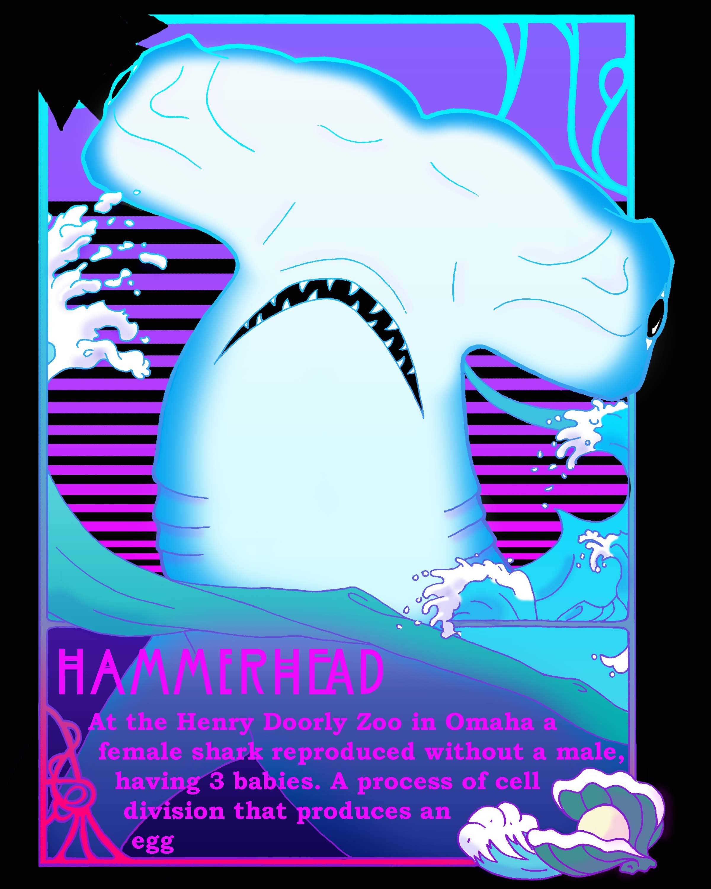 Hammerhead Shark is Non-binary, Wild Pride T-shirts, - Etsy