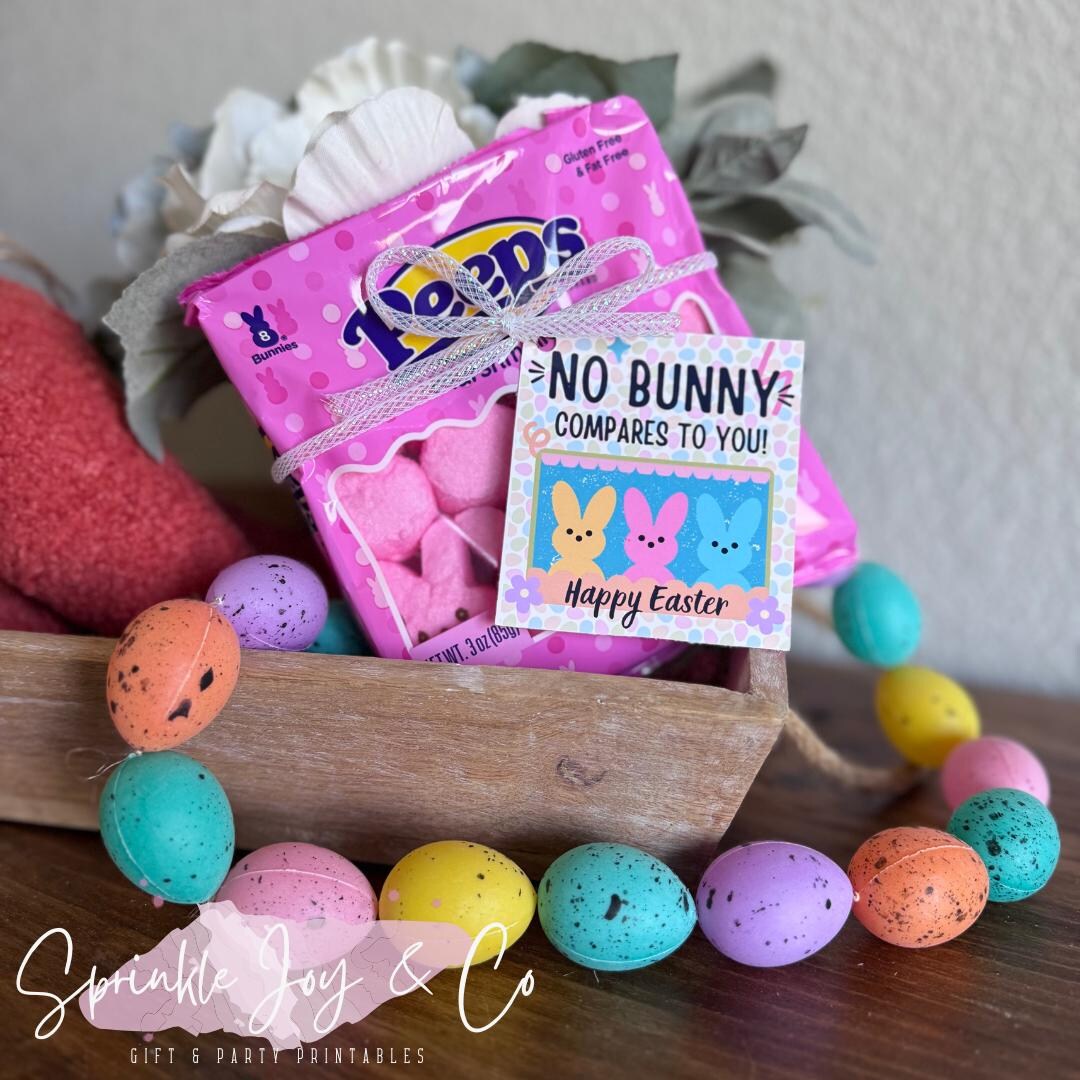 No Bunny Compares to You Gift Printable, Classroom Gift, Teacher ...