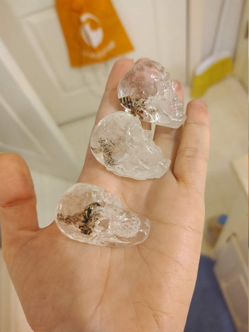 Reject Resin Skulls - Etsy