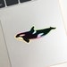 Holographic Orca Sticker // Spy Hopping Orca / Whale Sticker / Save the ...
