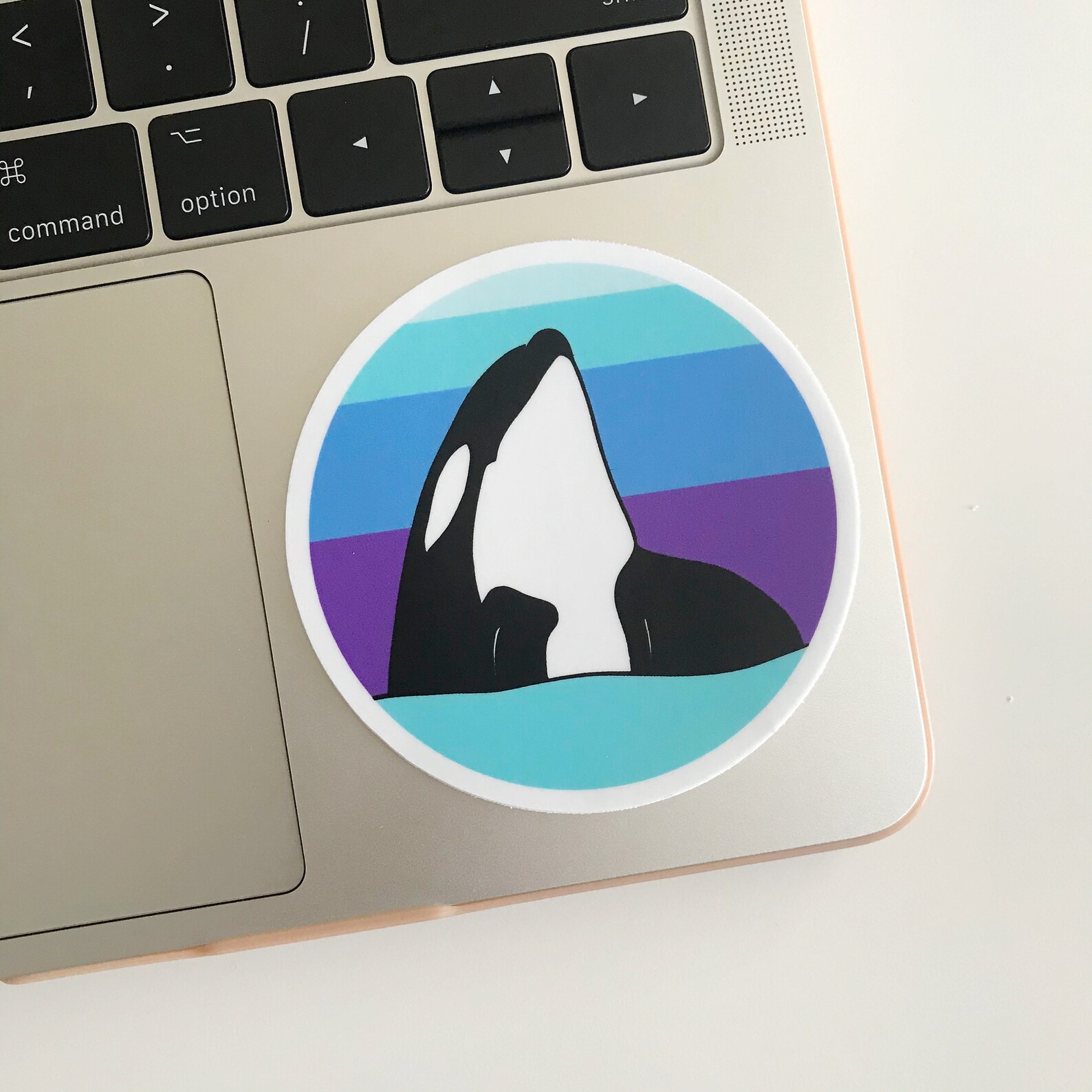 Orca Sticker // Spy Hopping Orca / Whale Sticker / Save the Whales ...
