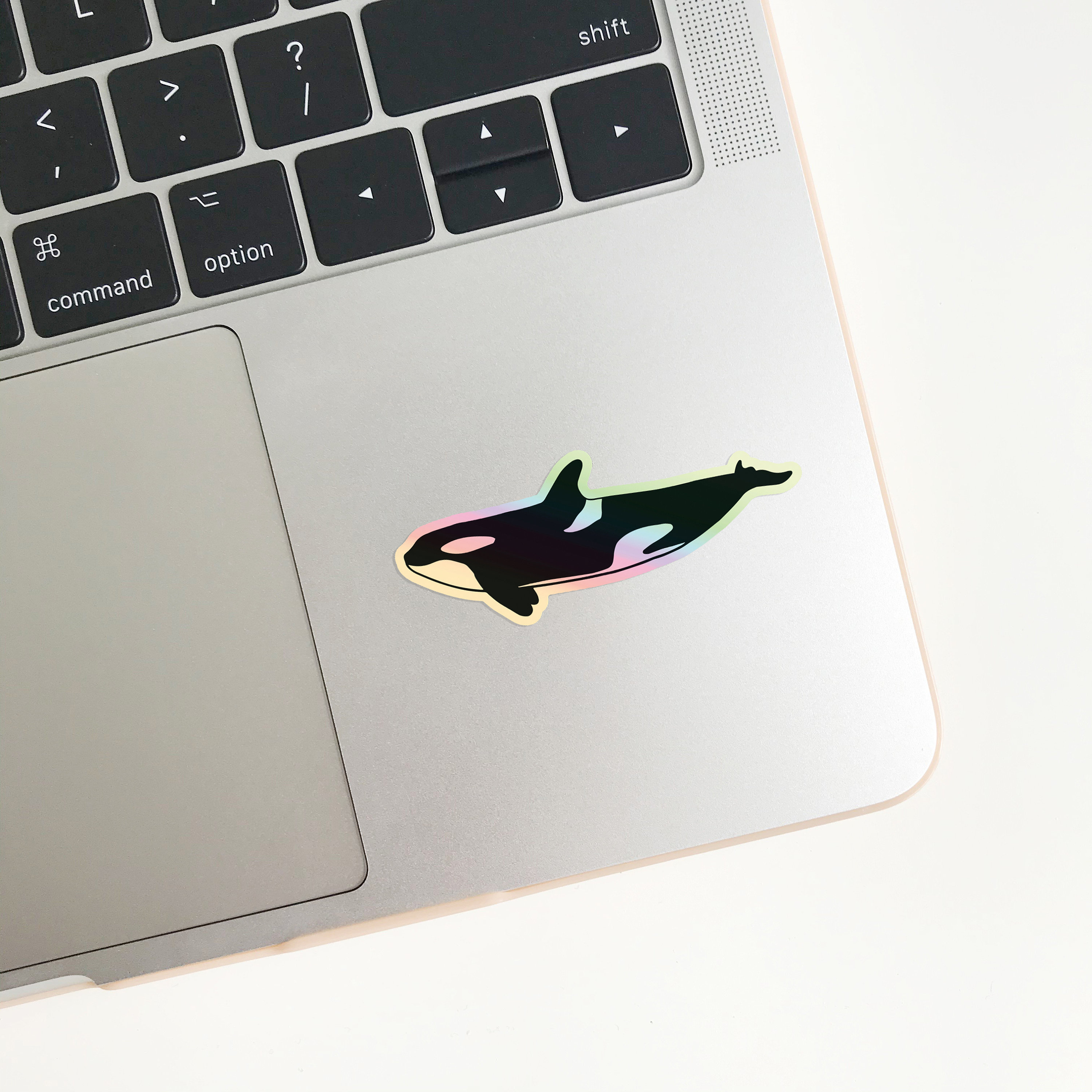 Holographic Orca Sticker // Spy Hopping Orca / Whale Sticker / Save the ...