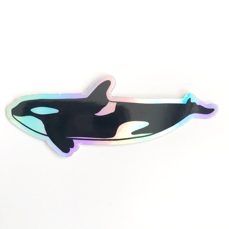 Holographic Orca Sticker // Spy Hopping Orca / Whale Sticker / - Etsy