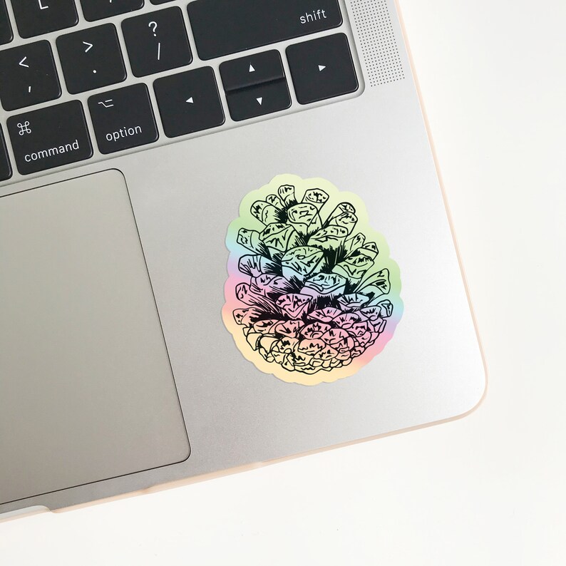 Pine Cone Holographic Sticker // PNW Sticker / Pine Cone / - Etsy