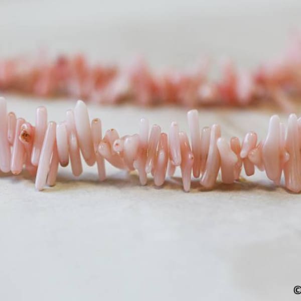 Coral Chips - Etsy