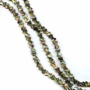 M/ Abalone Shell 10x15mm Flat Bone Beads 15.5" Strand Sea Shell Dog ...