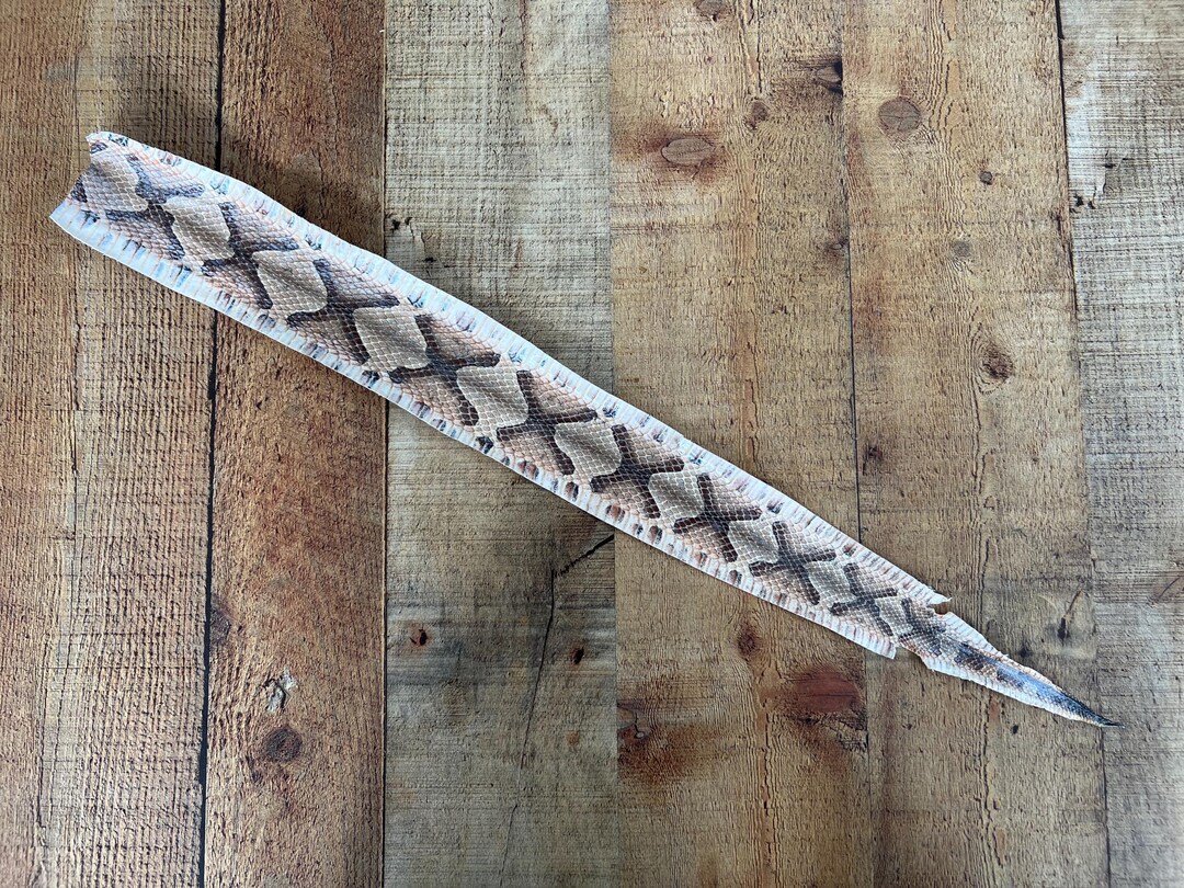 Copperhead Hide, Copper Head, Snake Skin 180 - Etsy