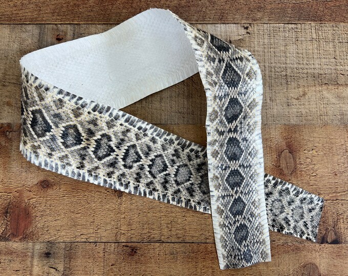 Eastern Diamondback Rattlesnake Hide, E192, Rattlesnake, Snake Skin ...