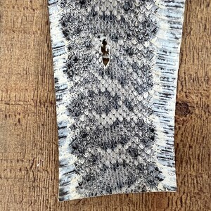 Authentic Eastern Diamondback Rattlesnake Hide, Rattlesnake Skin ...