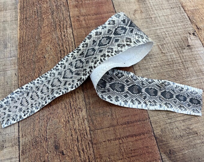 Authentic Eastern Diamondback Rattlesnake Hide, Rattlesnake Skin ...