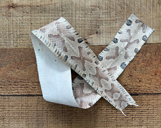 Copperhead Snake, Copper Head, Snake Skin, Snake Leather, 407 - Etsy