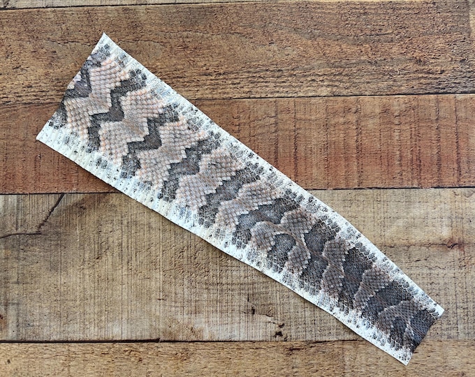 Timber Rattler, Canebrake, Rattlesnake, #C193, Rattle, Snake Skin, Real ...